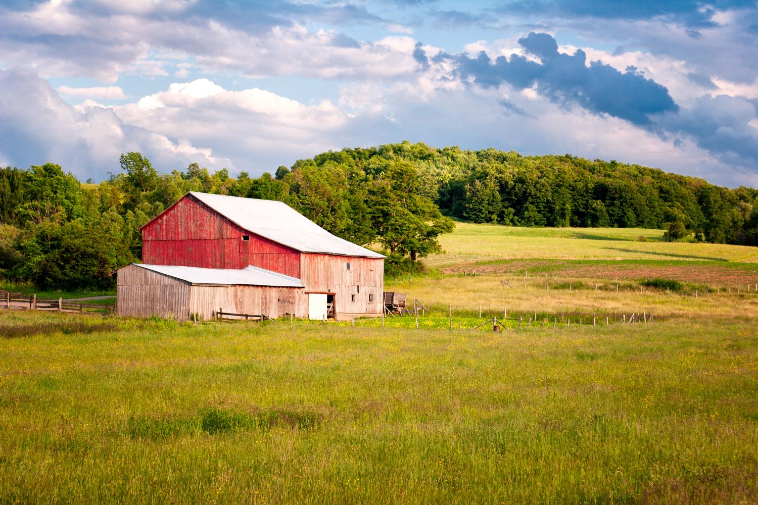What's my Property Worth | Land and Farms Realty