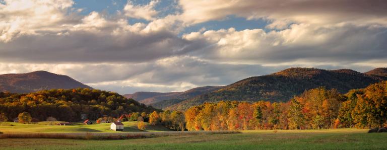 Land for Sale in North Carolina | Land and Farms Realty