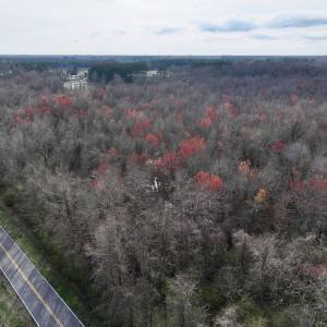 Chocowinity, NC - 67.62 acres | Land and Farms Realty