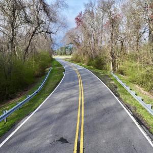 Chocowinity, NC - 67.62 acres | Land and Farms Realty