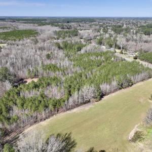 Rich Square, NC - 13.64 acres | Land and Farms Realty