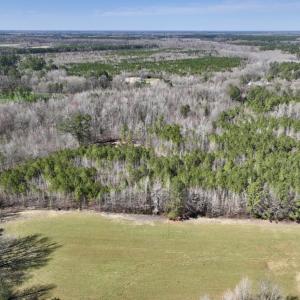 Rich Square, NC - 13.64 acres | Land and Farms Realty