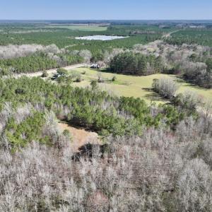 Rich Square, NC - 13.64 acres | Land and Farms Realty