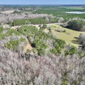 Rich Square, NC - 13.64 acres | Land and Farms Realty
