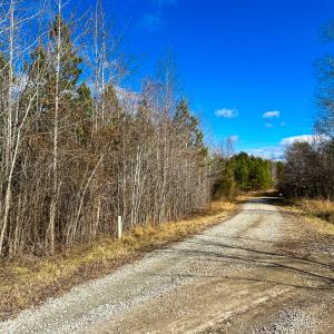 Providence, NC - 33.51 acres | Land and Farms Realty
