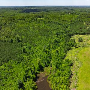 Providence, NC - 33.51 acres | Land and Farms Realty