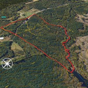 Providence, NC - 33.51 acres | Land and Farms Realty