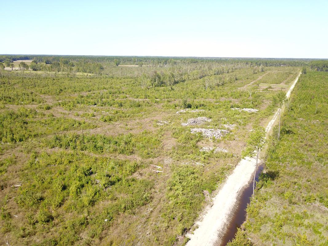 Vanceboro, NC - 166 acres | Land and Farms Realty