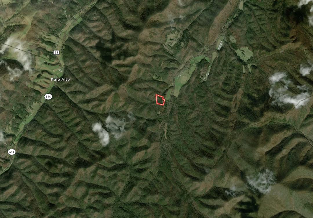 Head Waters, VA - 14.074 acres | Land and Farms Realty