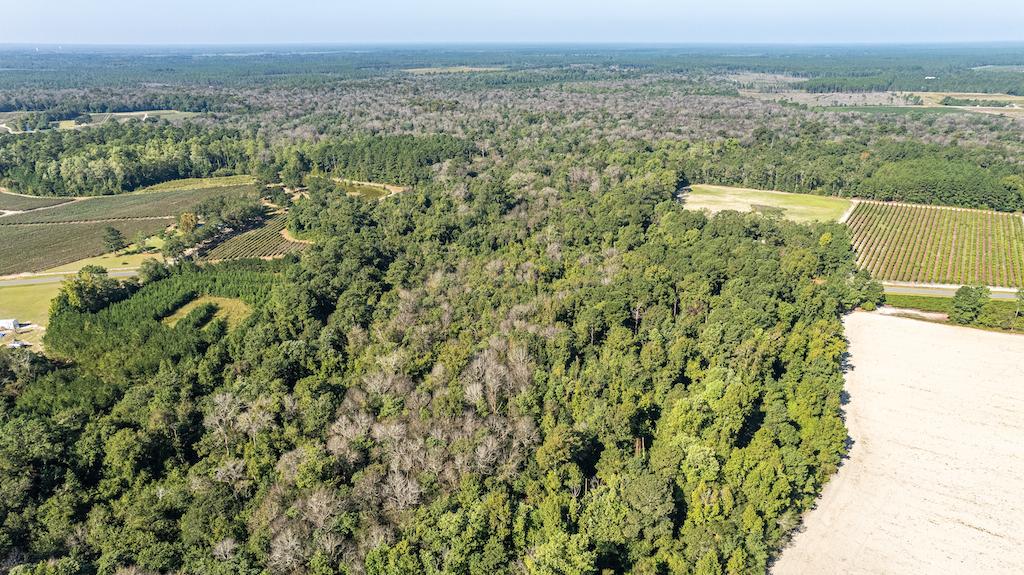 Harrells, NC - 15.65 acres | Land and Farms Realty