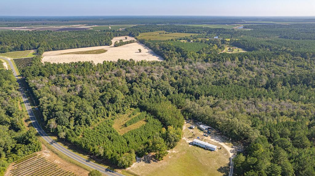 Harrells, NC - 15.65 acres | Land and Farms Realty