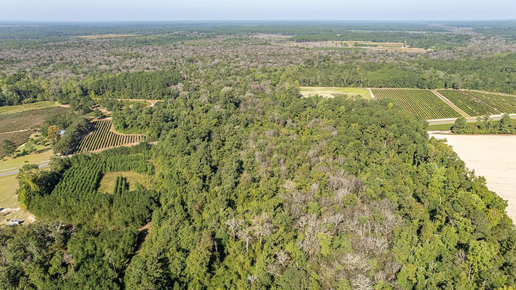 Harrells, NC - 15.65 acres | Land and Farms Realty