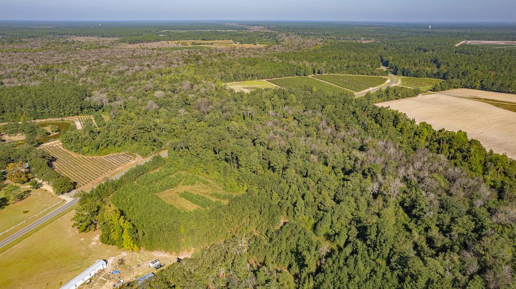 Harrells, NC - 15.65 acres | Land and Farms Realty