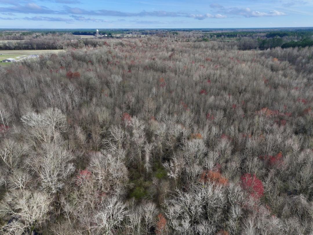 Chocowinity, NC - 67.62 acres | Land and Farms Realty
