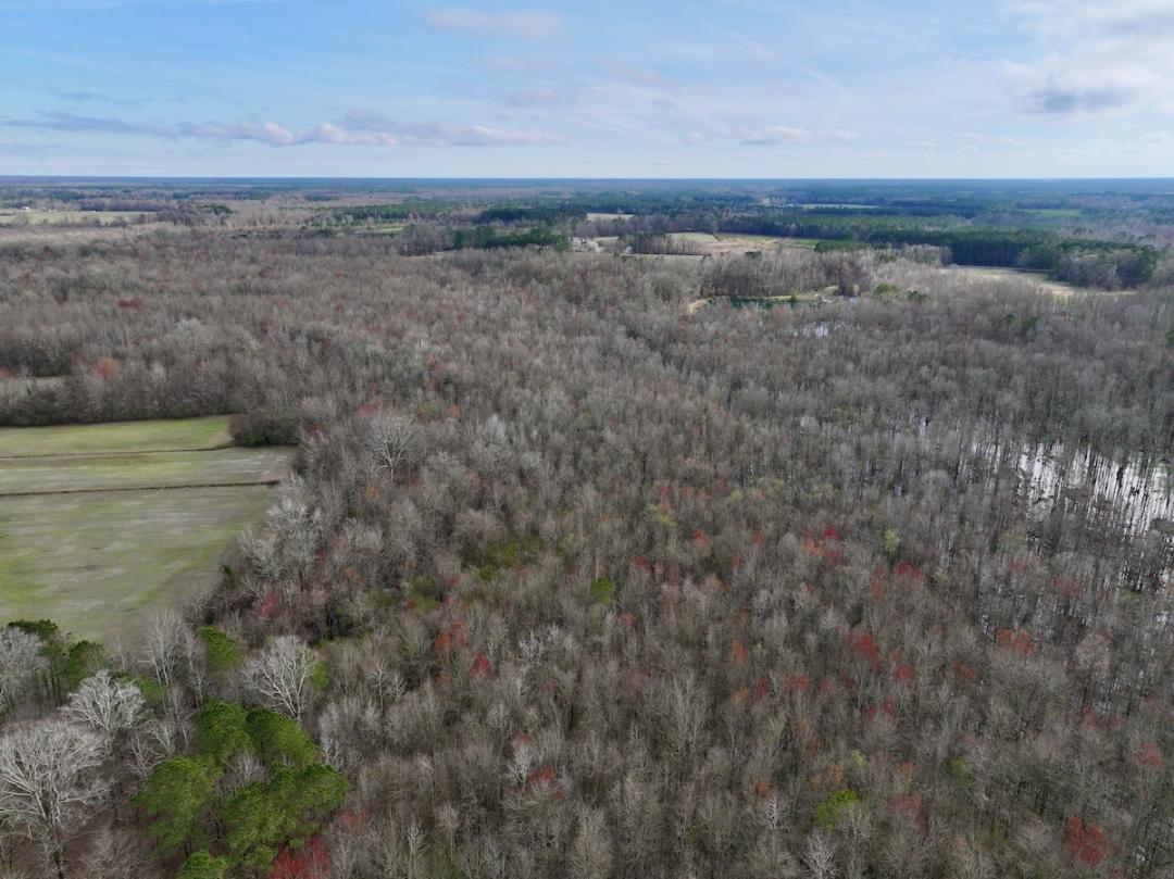 Chocowinity, NC - 67.62 acres | Land and Farms Realty