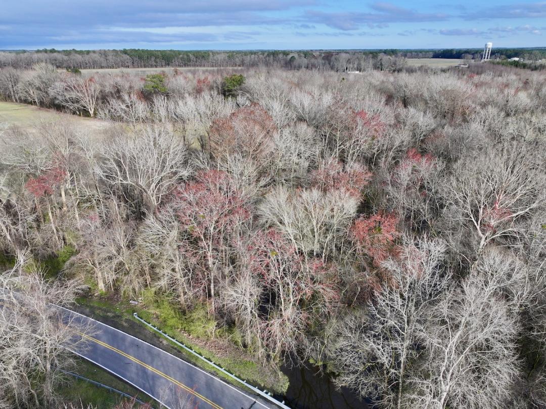 Chocowinity, NC - 67.62 acres | Land and Farms Realty