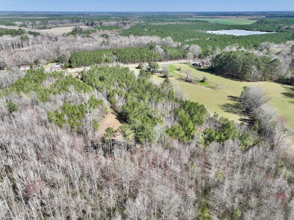 Rich Square, NC - 13.64 acres | Land and Farms Realty