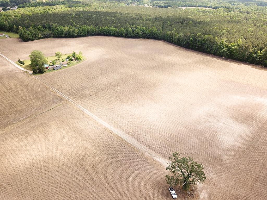 Franklin, VA - 30 acres | Land and Farms Realty