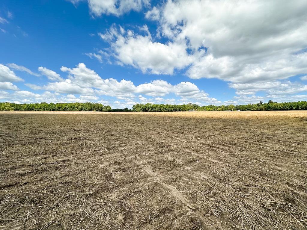 Franklin, VA - 30 acres | Land and Farms Realty