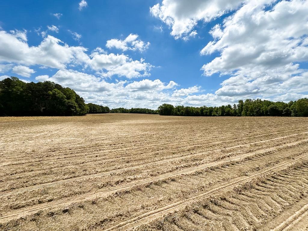 Franklin, VA - 30 acres | Land and Farms Realty