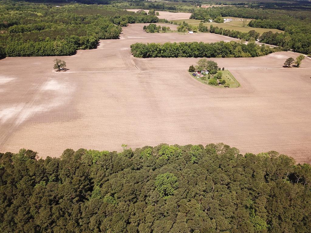 Franklin, VA - 30 acres | Land and Farms Realty