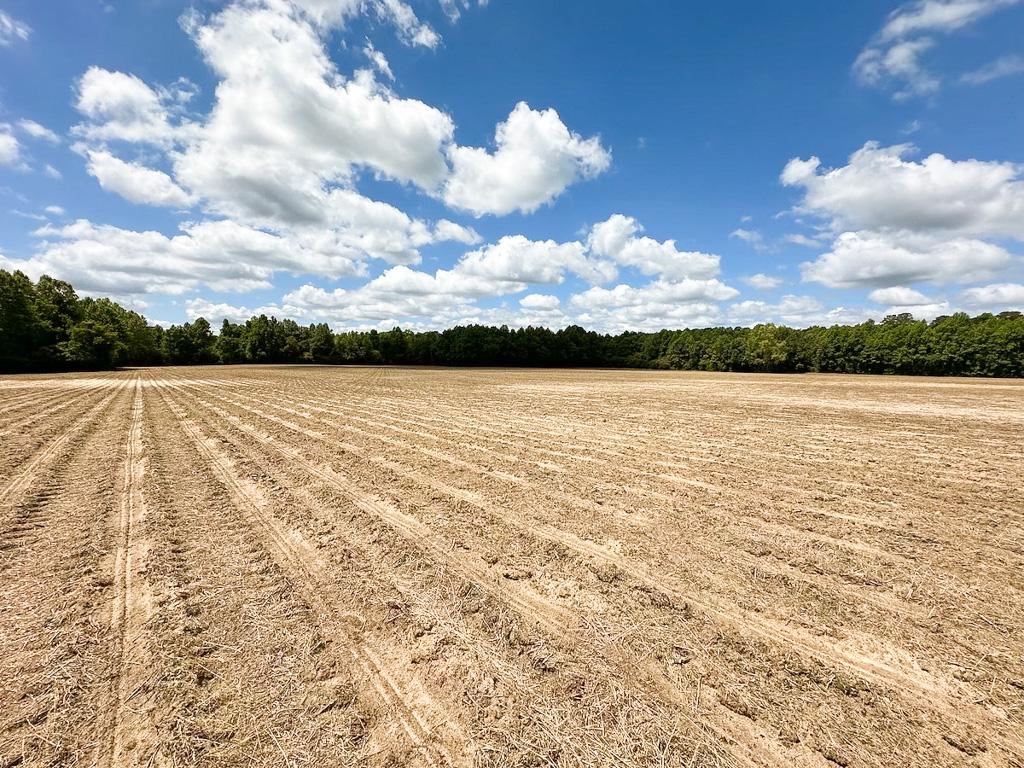 Franklin, VA - 30 acres | Land and Farms Realty