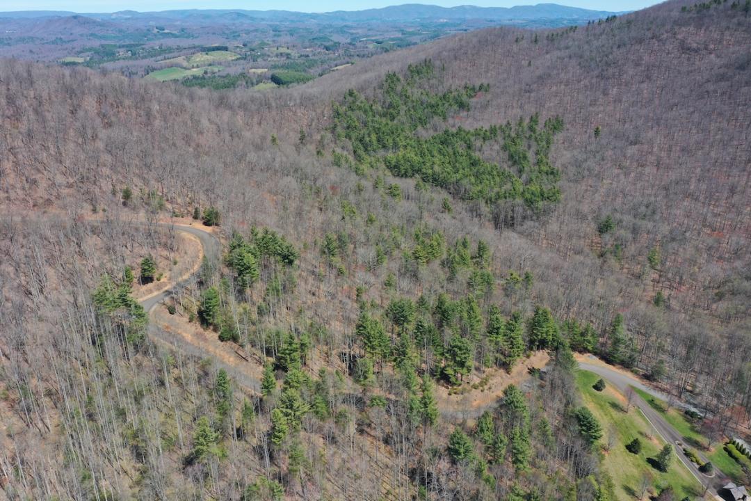Crumpler, NC - 5.25 acres | Land and Farms Realty