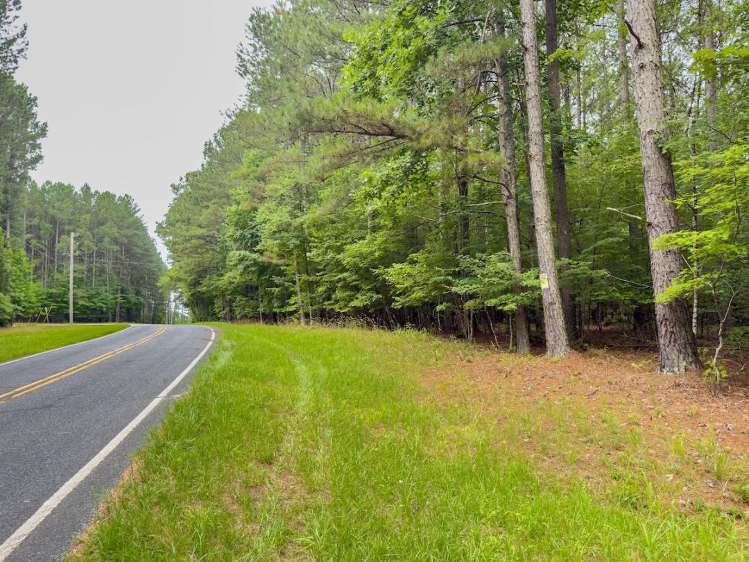 Mount Gilead, NC - 76.06 acres | Land and Farms Realty