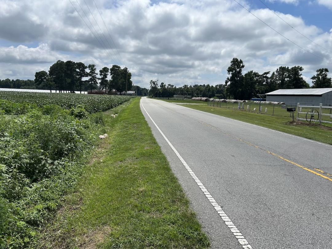 Albertson, NC - 24.17 acres | Land and Farms Realty