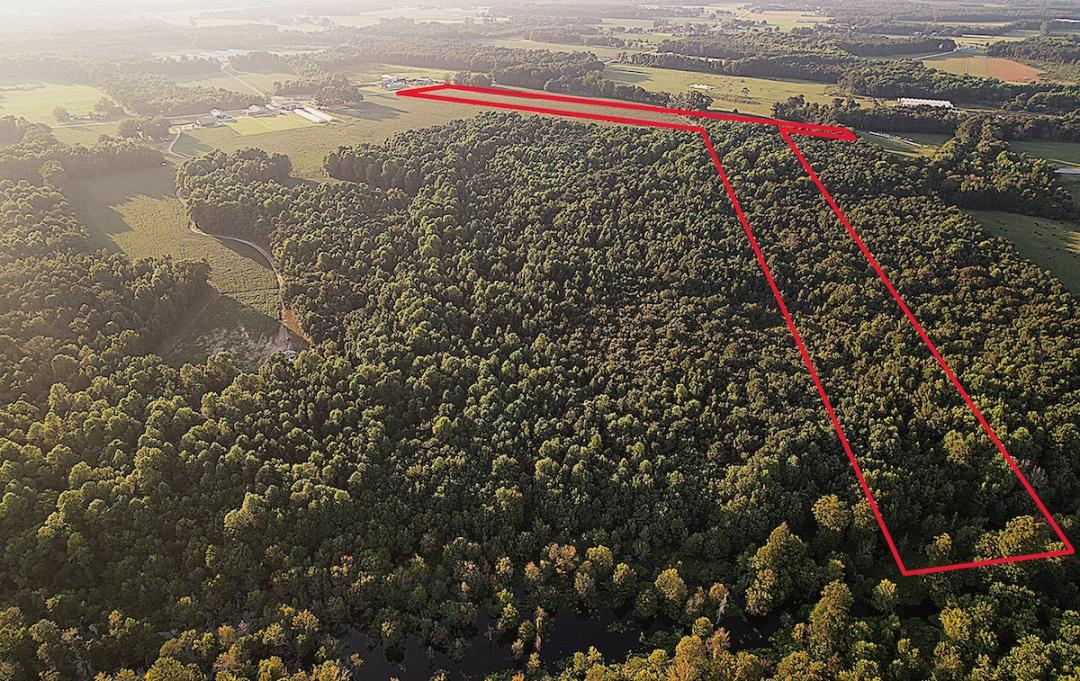 Albertson, NC - 24.17 acres | Land and Farms Realty