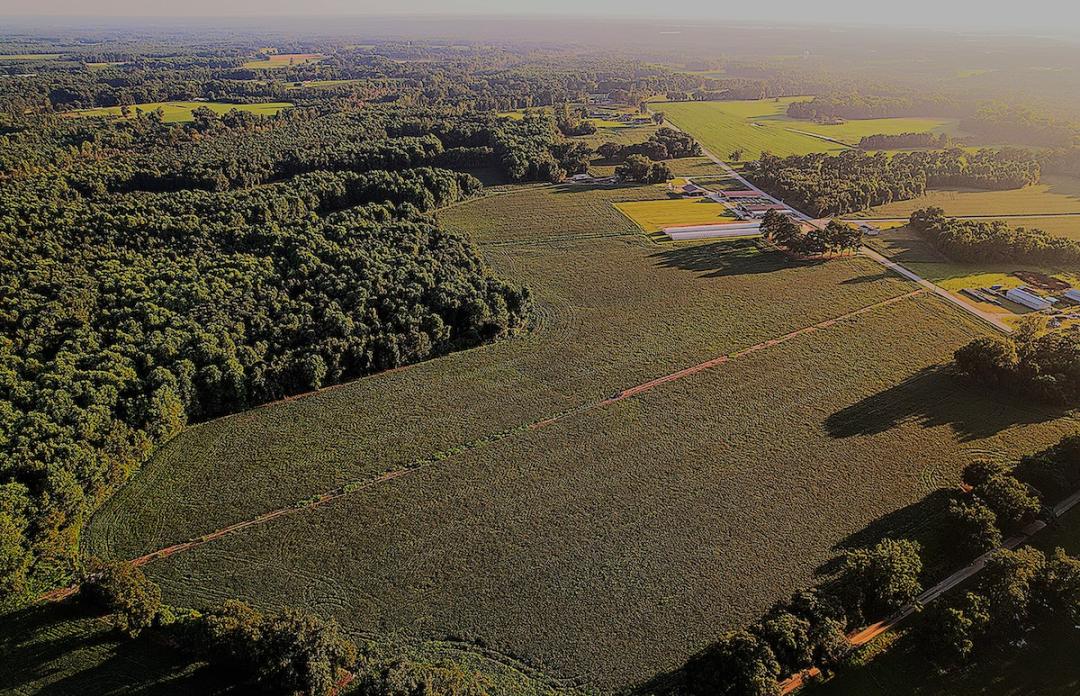 Albertson, NC - 24.17 acres | Land and Farms Realty
