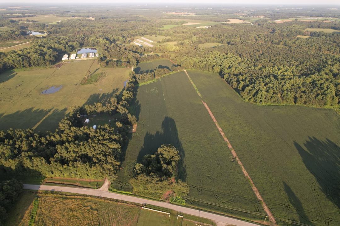 Albertson, NC - 24.17 acres | Land and Farms Realty