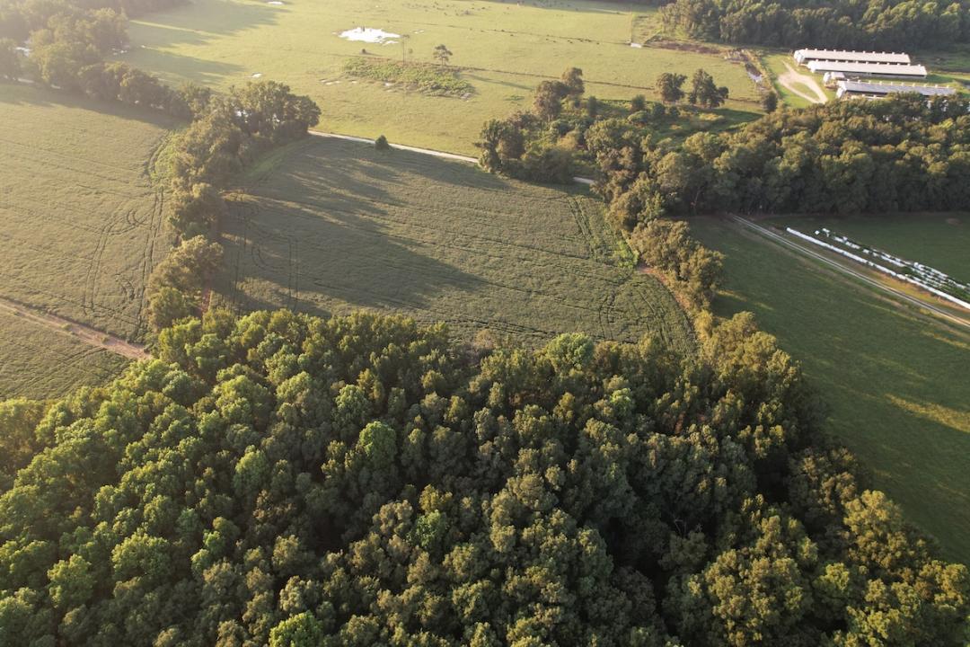 Albertson, NC - 24.17 acres | Land and Farms Realty