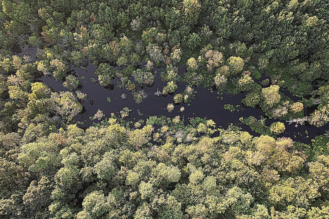 Albertson, NC - 24.17 acres | Land and Farms Realty