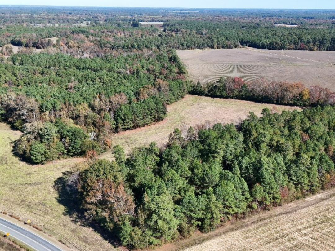 Lumberton, NC - 49 acres | Land and Farms Realty