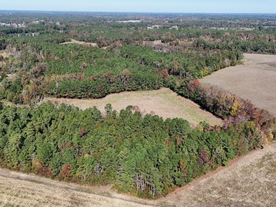 Lumberton, NC - 49 acres | Land and Farms Realty