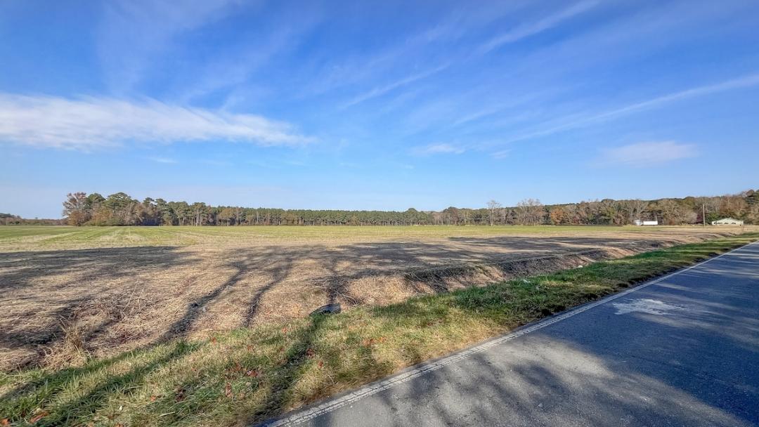 Teachey, NC - 20.3 acres | Land and Farms Realty